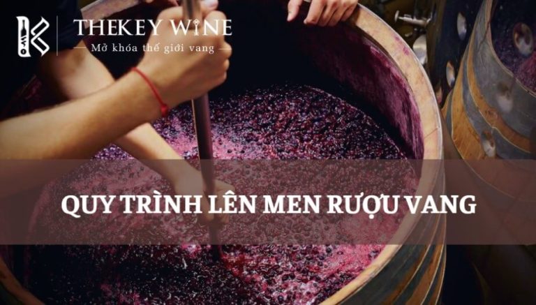 Quy trình lên men rượu vang - THEKEY WINE